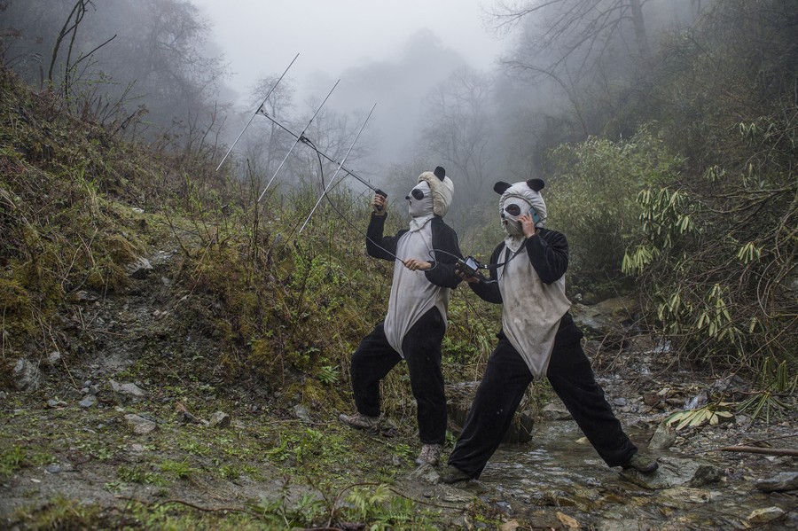 Winners of the 2017 World Press Photo Contest - The Atlantic