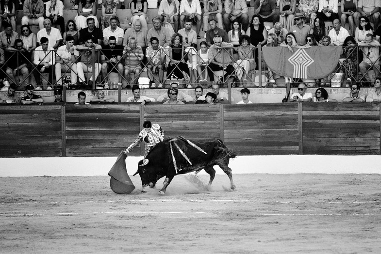 What It Takes to Be a Professional Bullfighter - The Atlantic
