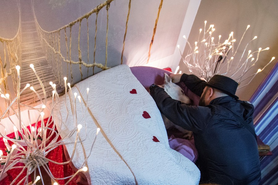 A Full-Service Funeral Home for Pets - The Atlantic