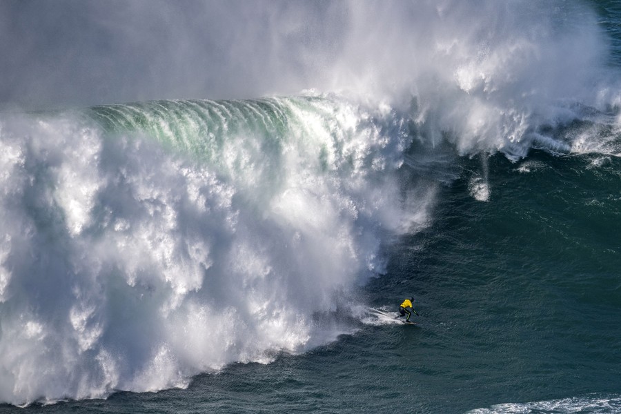 Photos of the Week: Giant Teapot, Arizona Sunset, Egyptian Goose - The ...