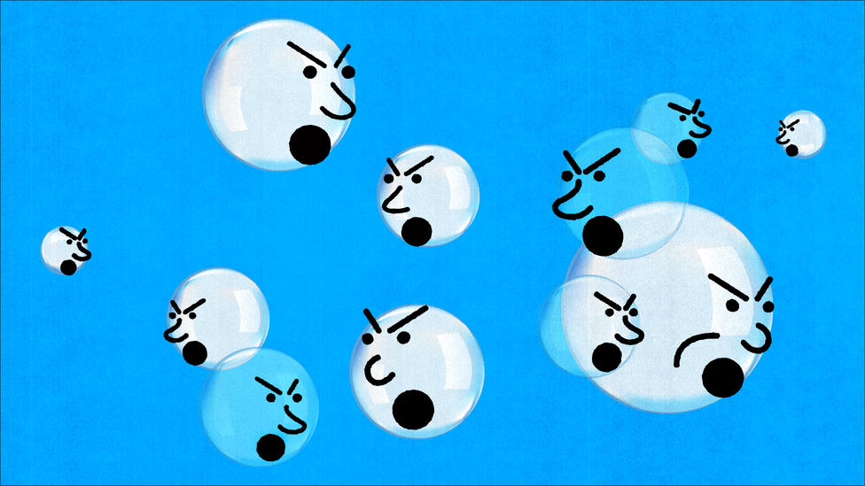 It’s Not Filter Bubbles That Are Driving Us Apart - The Atlantic