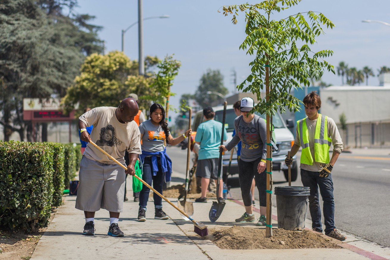 Our Towns: A Plan to Grow 90,000 Trees in Los Angeles - The Atlantic