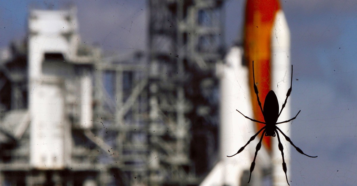 What Fictional Spacefaring Spiders Can Tell Us About Space-Suit Design ...