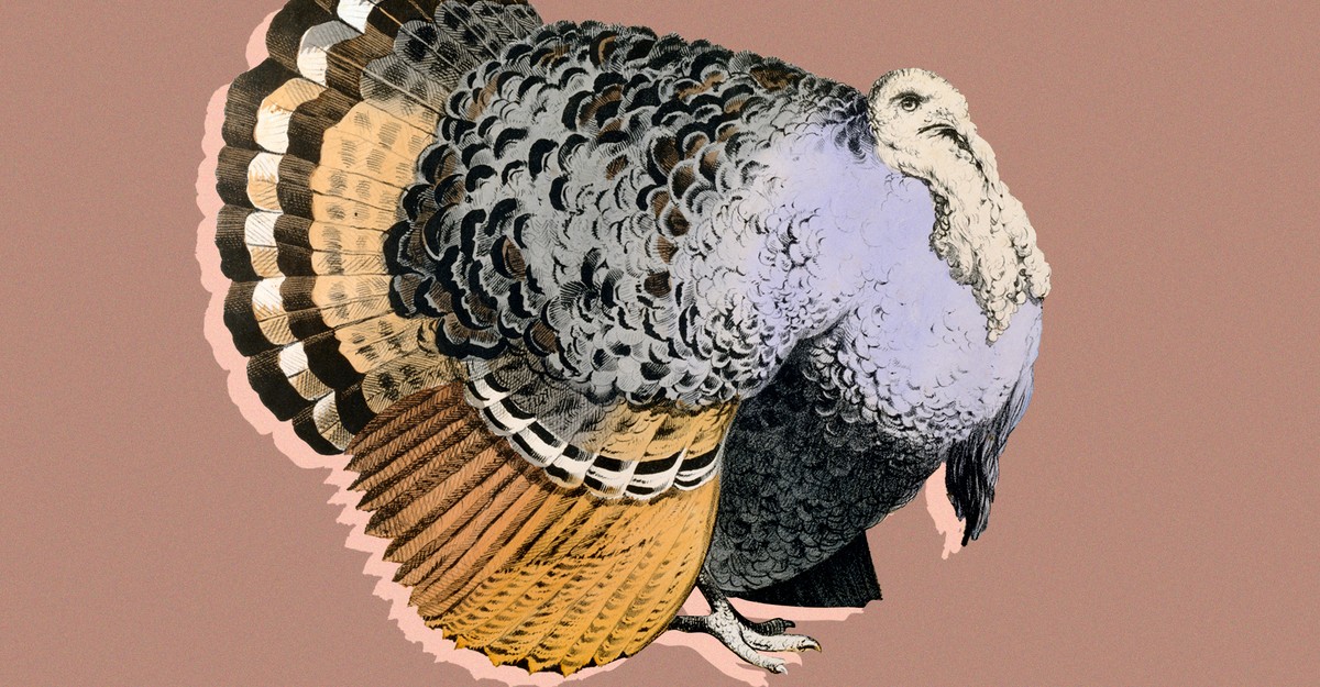 Turkeys Are Twice as Big as They Were in 1960 - The Atlantic
