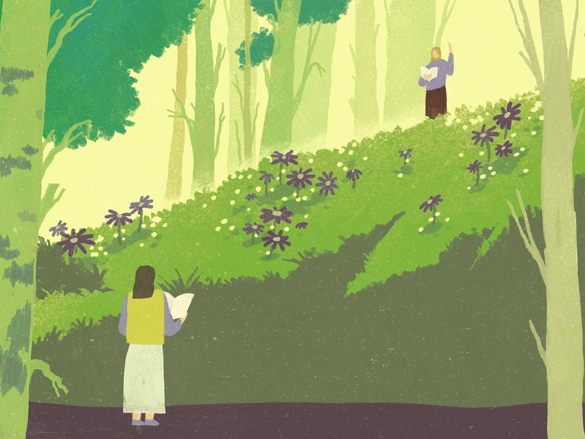 Haiku Examples About Friendship