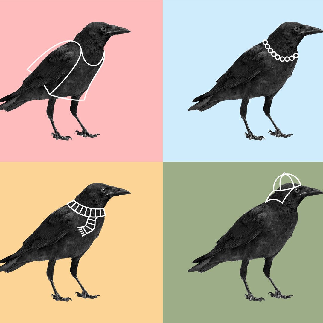 The Crow Makeup Meaning | Saubhaya Makeup