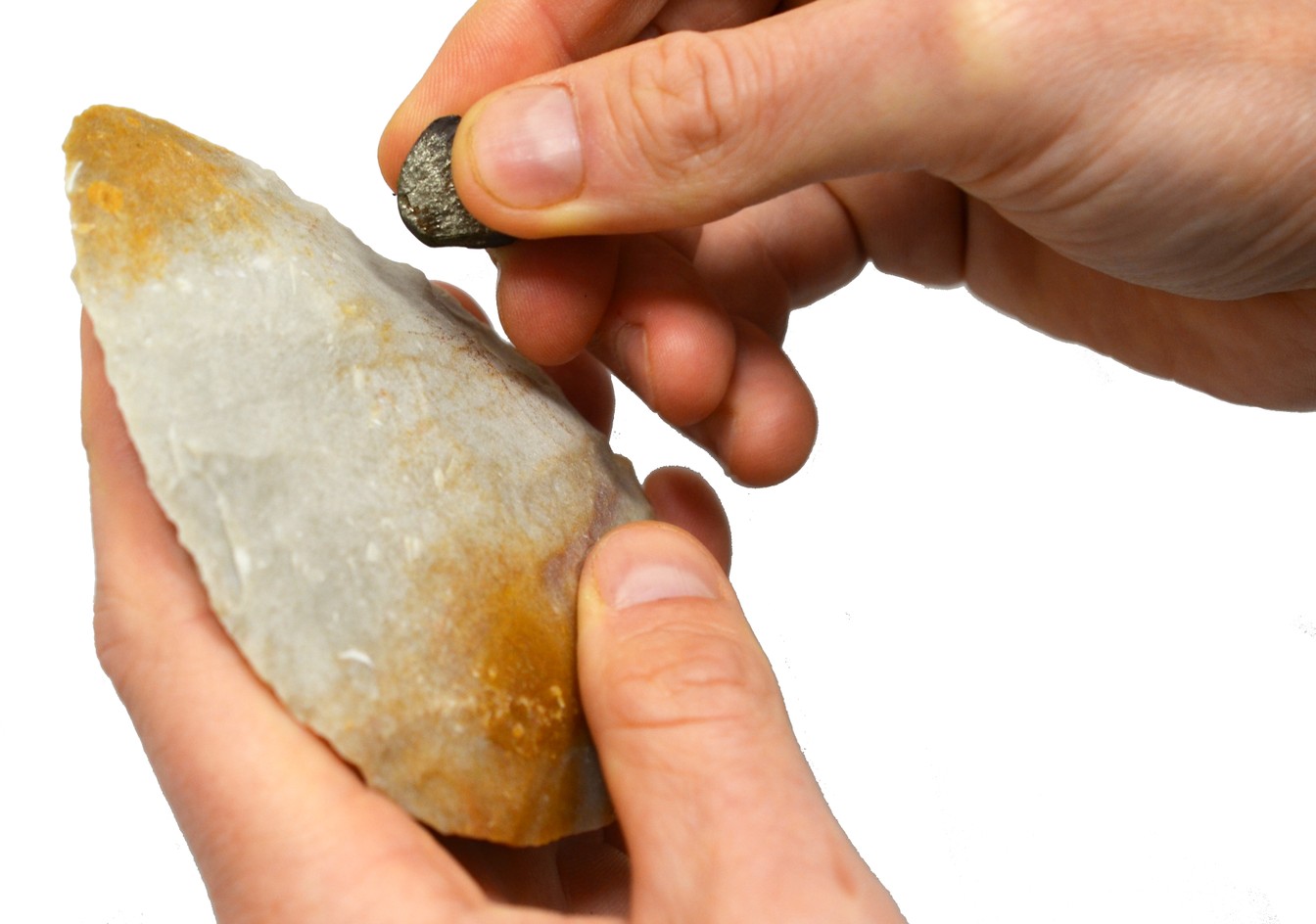 Did Neanderthals Know How to Make Fire? - The Atlantic