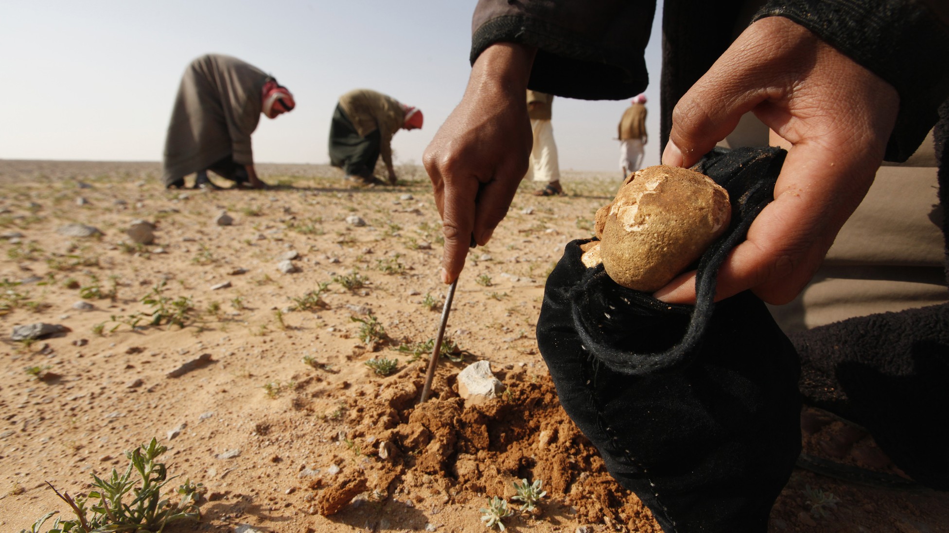 North Korean Ghost Ships and Iraqi Truffles: The Week in Global-Affairs ...