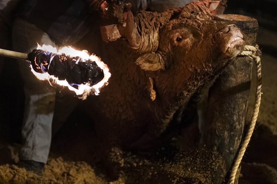 Toro de Jubilo, the Fire Bull Festival - The Atlantic
