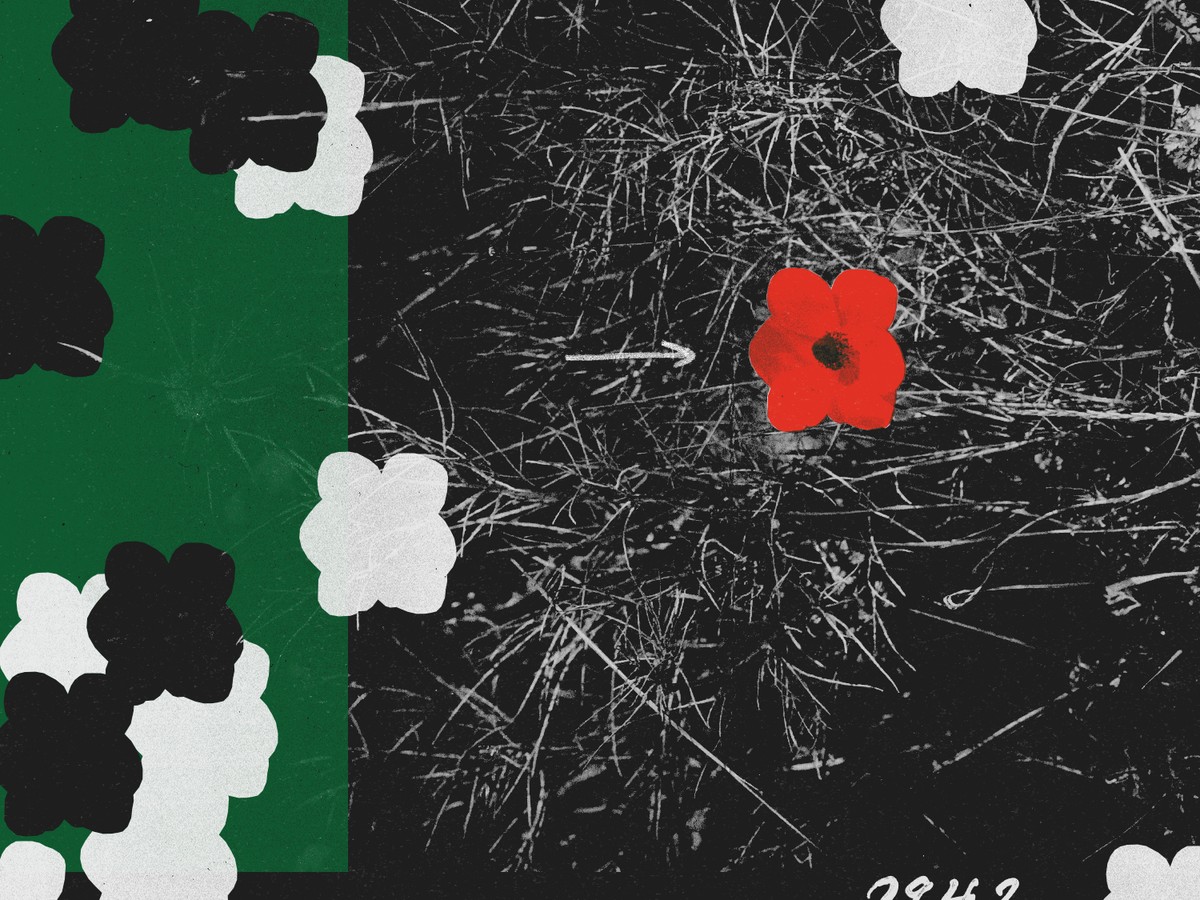 sand catcher by omar khalifah