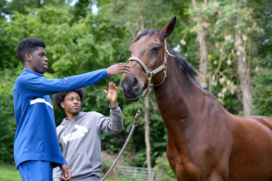 Photos: Animals in the News - The Atlantic