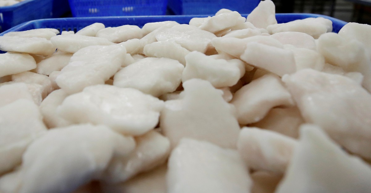 Finless Foods: The Start-Up Making In-Vitro Fish Fillets - The Atlantic