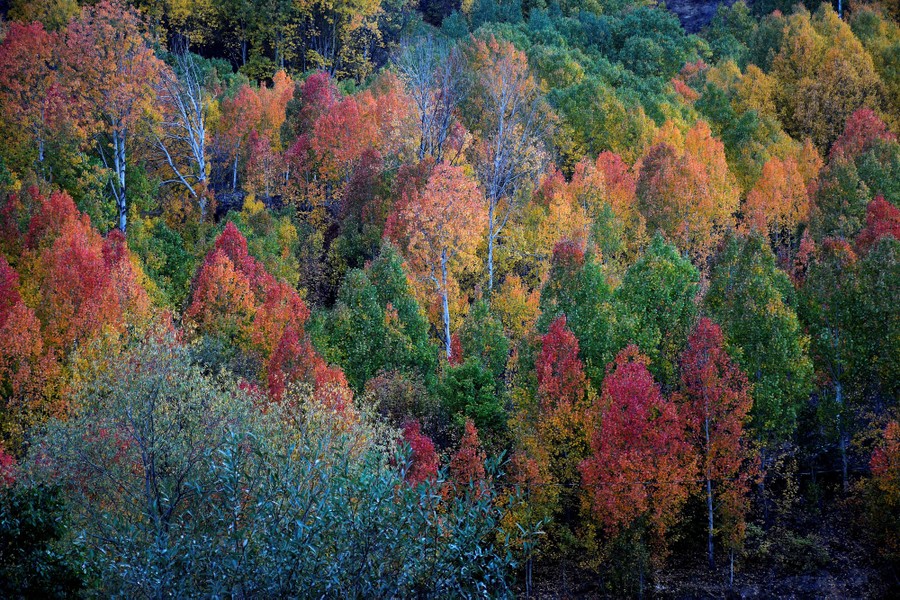 Fall Is in the Air: Images of the Season - The Atlantic