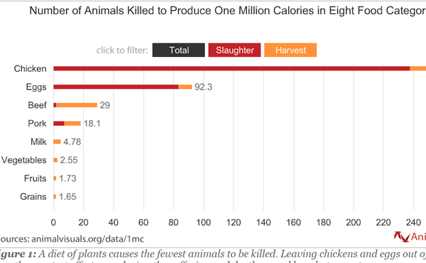 Ethics of Eating - The Atlantic