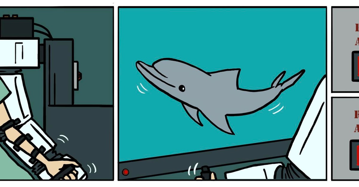 The Playable Virtual Dolphin Created to Help Stroke Patients Recover ...