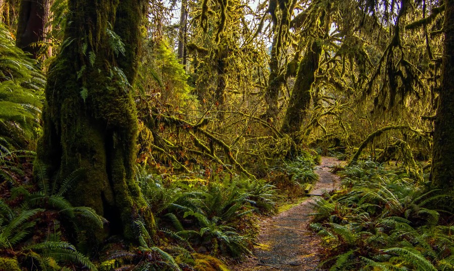 A Photo Trip to Washington State, Dedicated to My Parents - The Atlantic