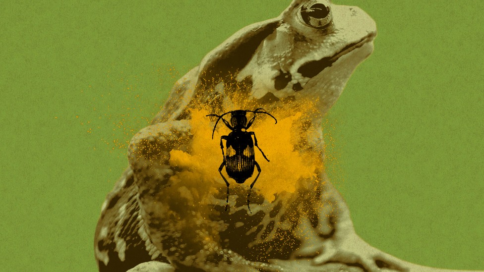 How to Survive Being Swallowed By Another Animal - The Atlantic