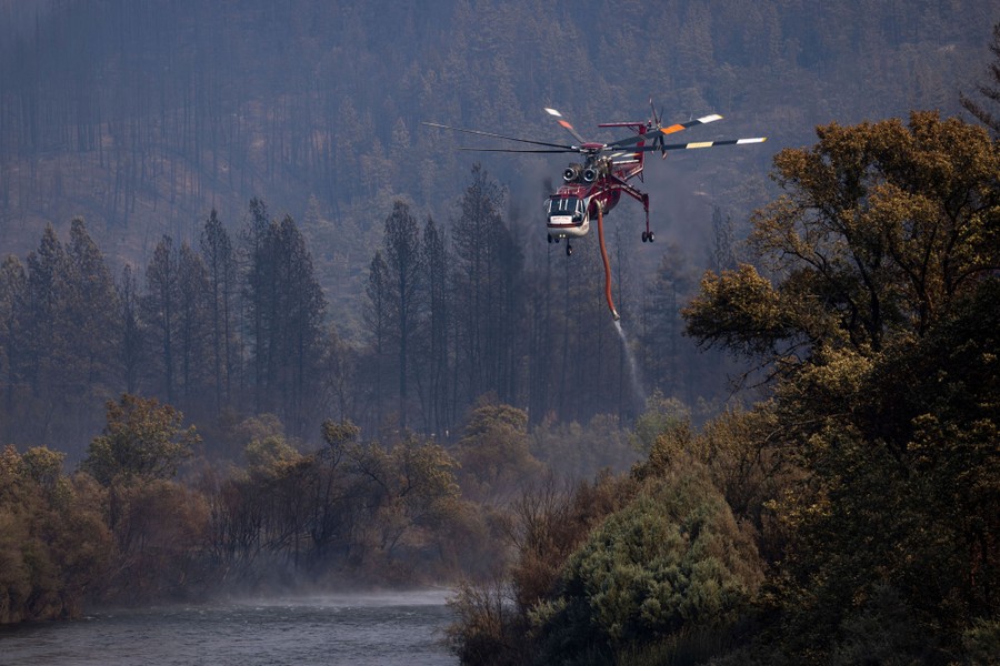 Photos of the Week: Knife Angel, Paris Henge, Flamingo Tagging - The ...