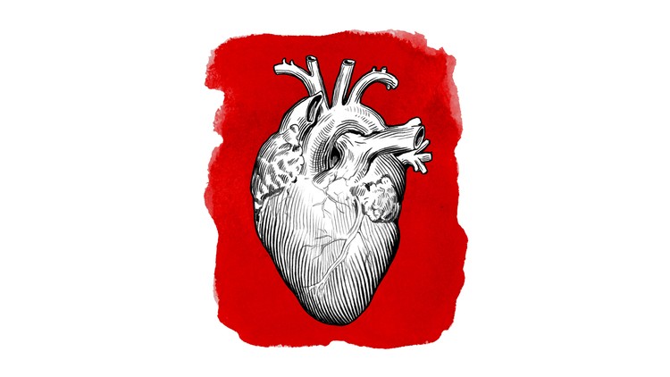 The Heart Can Keep Beating After Death - The Atlantic