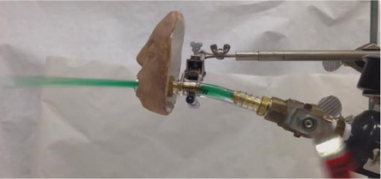 The Vomit Machine Can Teach Us About Stomach Flu Outbreaks - The Atlantic