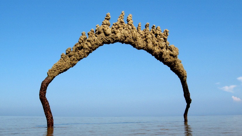 A New Kind of Sandcastle - The Atlantic