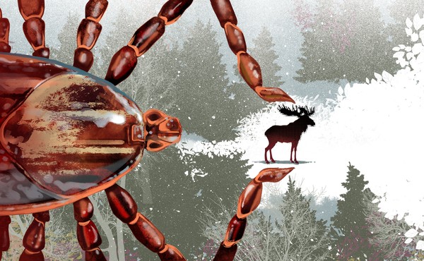 All Stories by David Dobbs - The Atlantic