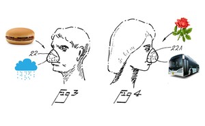 All Stories by Luke Stark - The Atlantic