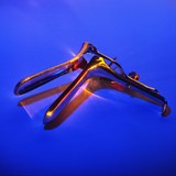 Daniela Blei, The Atlantic