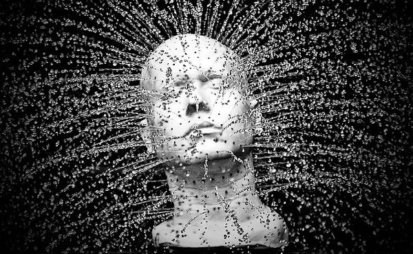 All Stories by Cayte Bosler - The Atlantic