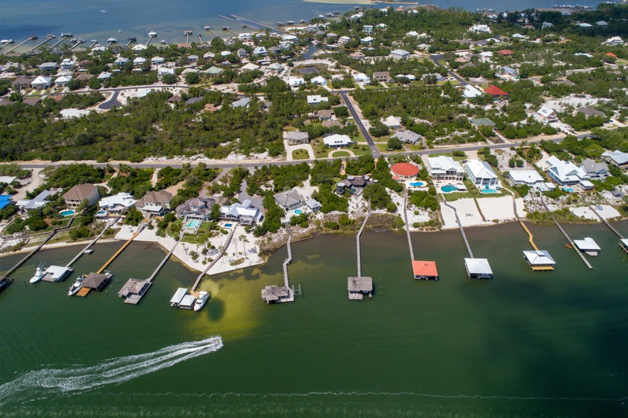 Alabama: Images of the Yellowhammer State - The Atlantic