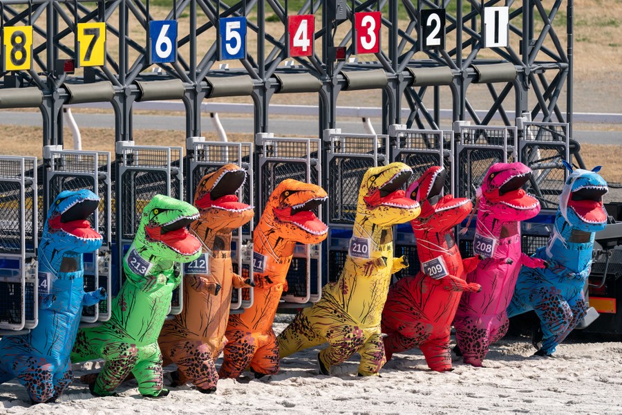 Photos of the Week: Raccoon Snack, Tyrannosaurus Race, Speed Skiing ...