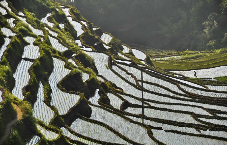 The Beauty of Terraced Fields - The Atlantic