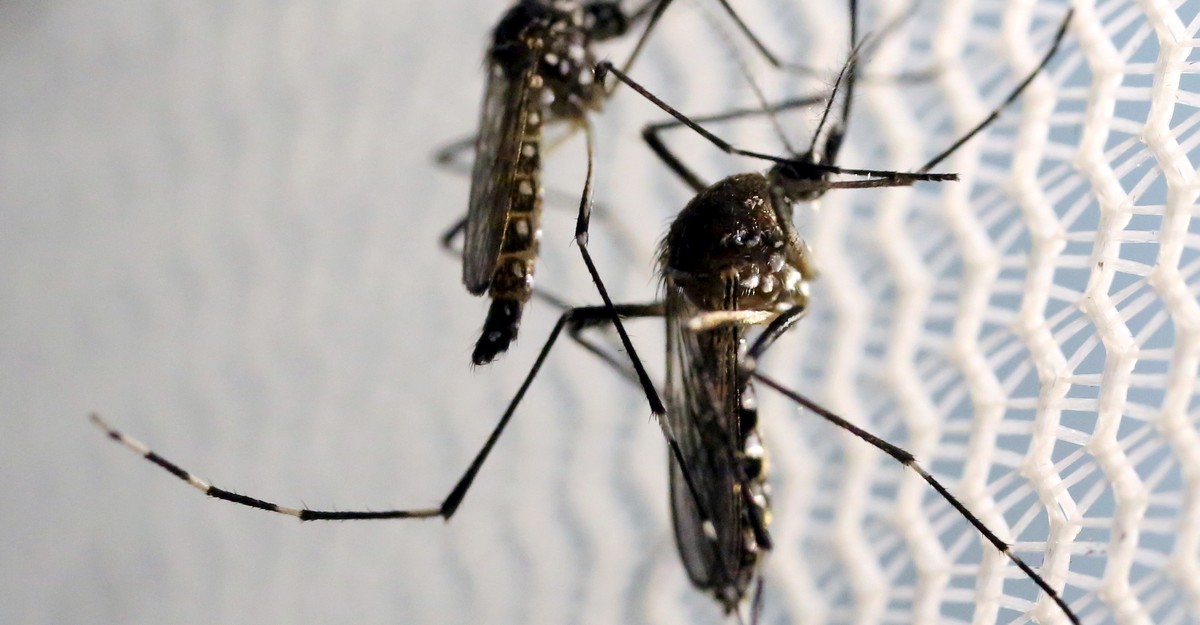 The First Formal Congressional Meeting on Zika Funding - The Atlantic