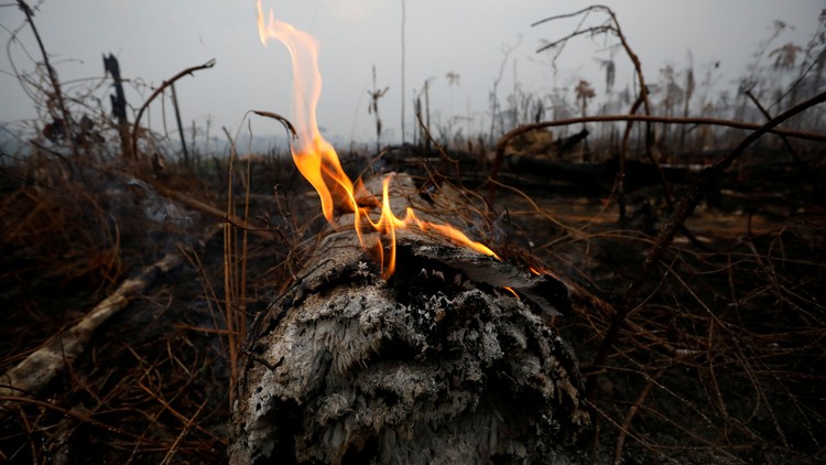 The Amazon Fires Are Intruding on Indigenous Lands - The Atlantic