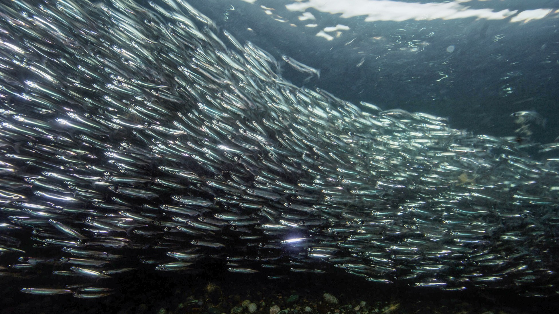 The Atlantic Ocean Is Invading the Arctic - The Atlantic