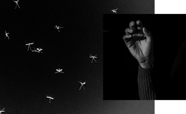 All Stories by Walt Hunter - The Atlantic