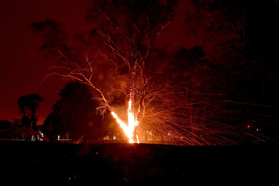 Photos of Australia’s Raging Bushfires - The Atlantic
