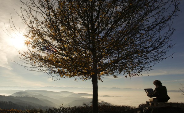 All Stories by Mark Yakich - The Atlantic