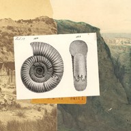 The Awkward Truth About Extinction - The Atlantic