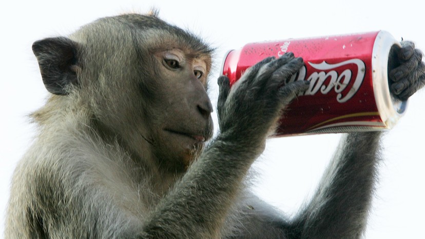 Oedipal Complexes and Coca-Cola: The Week in Global-Affairs Writing ...