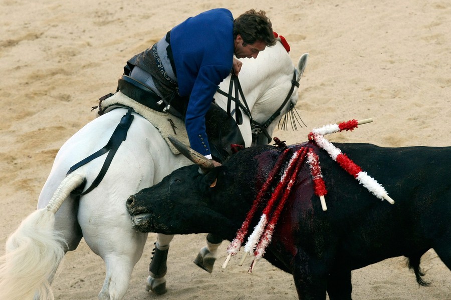 The Running of the Bulls - The Atlantic