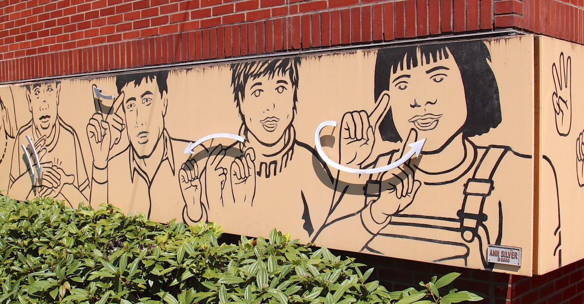 martha's vineyard case study