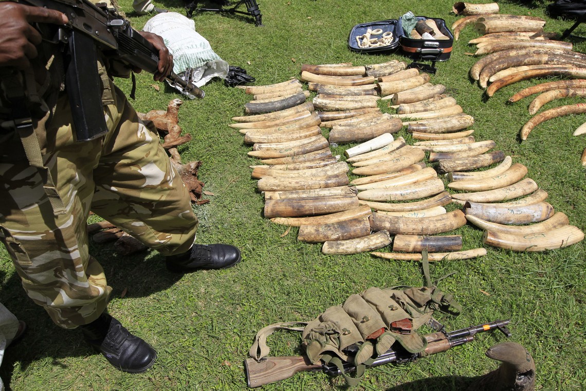 How to Fight Poachers With Drones and Big Data - The Atlantic