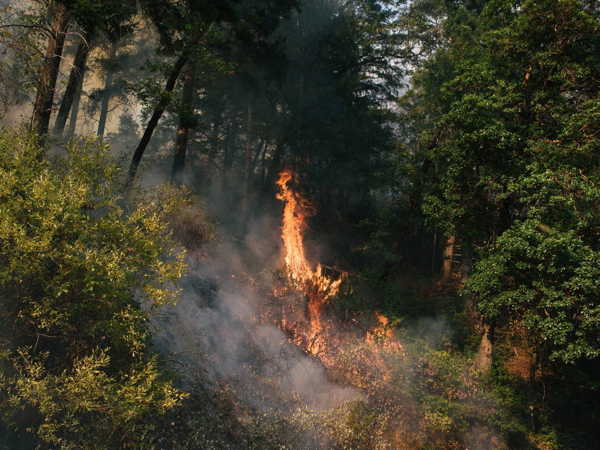 forest fire still burning