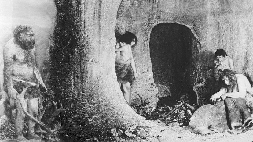 The Evolutionary Origins of Clothing - The Atlantic