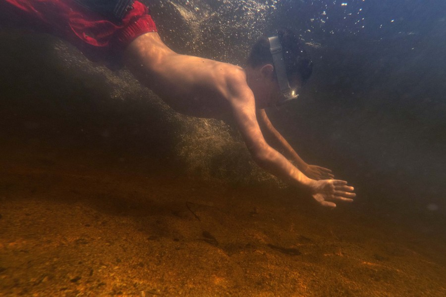 Photos of the Week: River Dive, Wild Surf, Roof Bear - The Atlantic