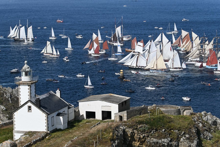 Photos of the Week: Gruffalo Maze, Panama Swing, Luminous Mane - The ...