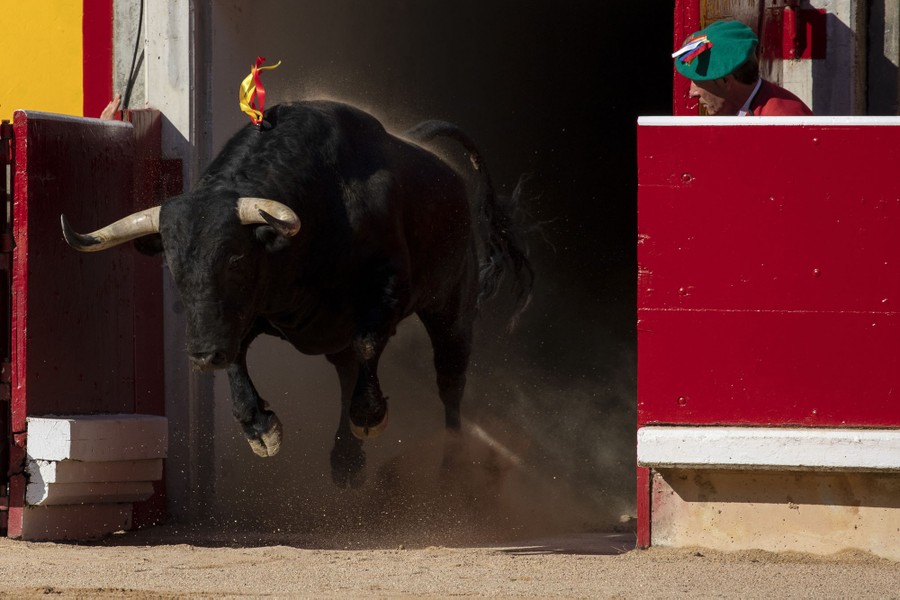 Running of the Bulls 2019: The Fiesta de San Fermín - The Atlantic