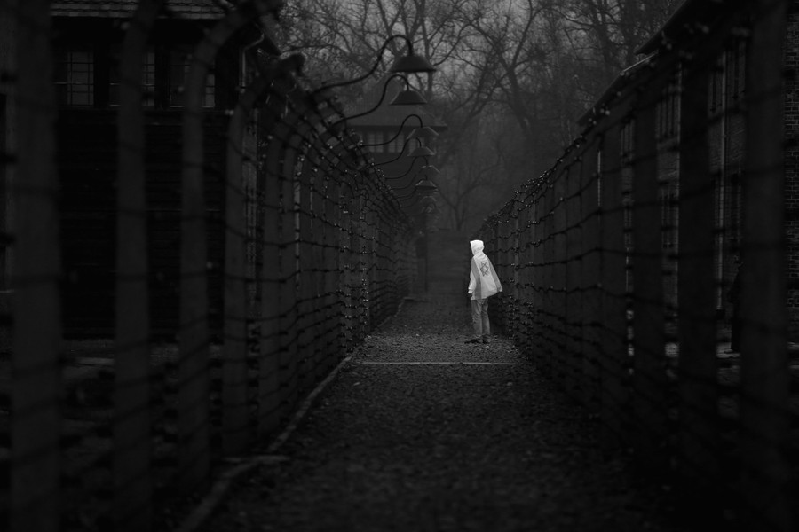 Remembering Auschwitz: 70 Years After Liberation - The Atlantic