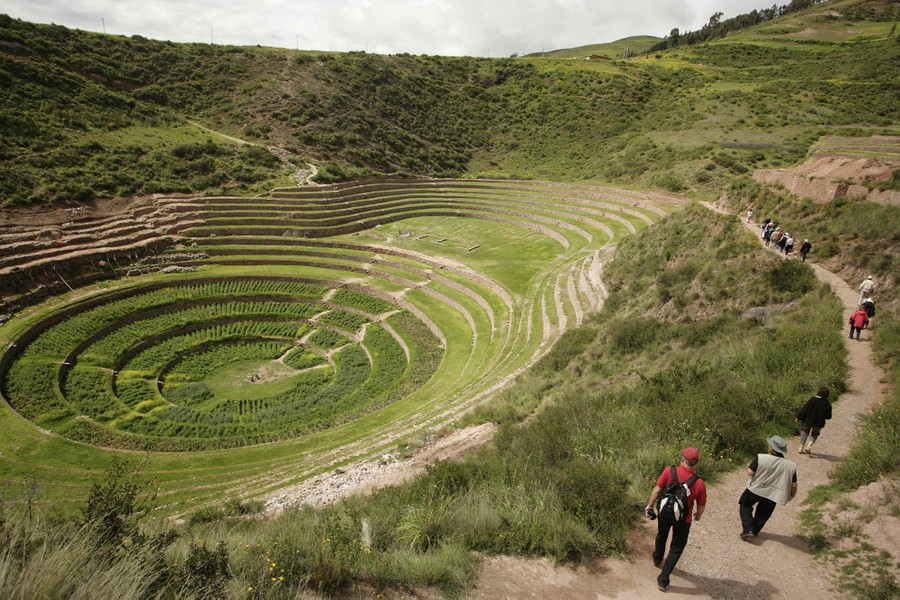 inca terraced fields